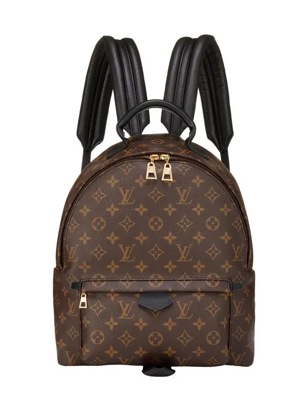 LOUIS VUITTON Monogram Canvas Palm Springs Pm - Brown
