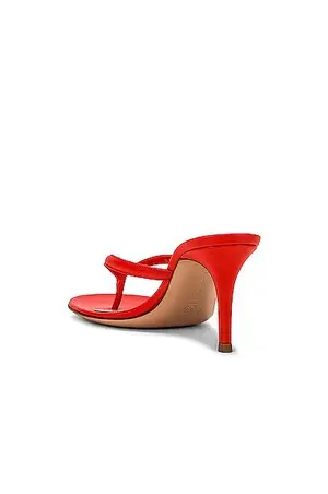 GIANVITO ROSSI Thong Sandals
