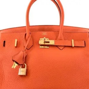 Hermès Birkin Handbag Togo With Gold Hardware 30 - Orange