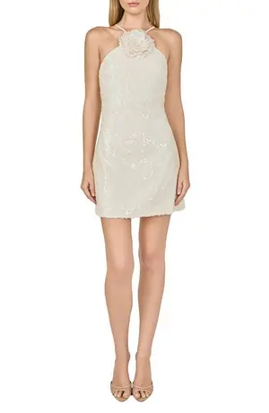 Endless Rose Sequin Appliqué Minidress - Cream