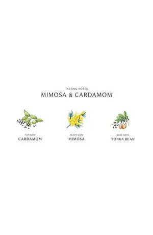 JO MALONE LONDON™ Mimosa & Cardamom Cologne