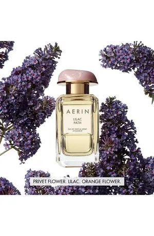 Estée Lauder Aerin Lilac Path Eau De Parfum Spray