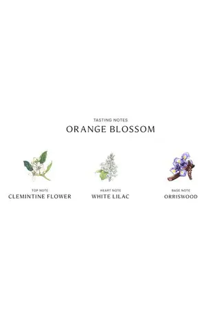 JO MALONE LONDON™ Orange Blossom Cologne