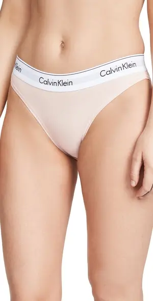 Calvin Klein Modern Cotton Bikini Briefs Nymph's Thigh
