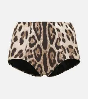 Dolce & Gabbana Leopard-print Bikini Bottom - Brown