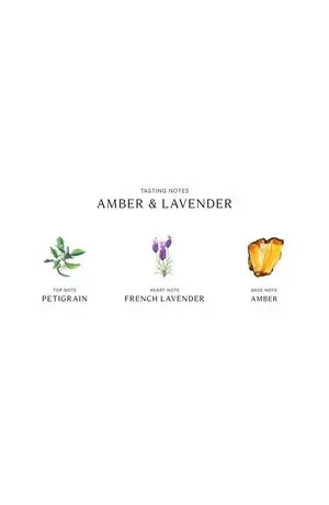 JO MALONE LONDON™ Amber & Lavender Cologne