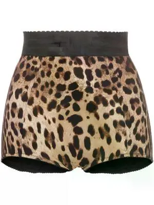 Dolce & Gabbana Leopard-print High-waisted Briefs