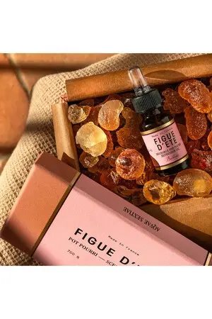 BASTIDE Figue Deté Potpourri Refresher Oil