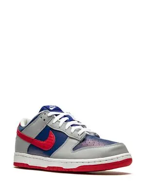 Nike Dunk Low Samba Sneakers