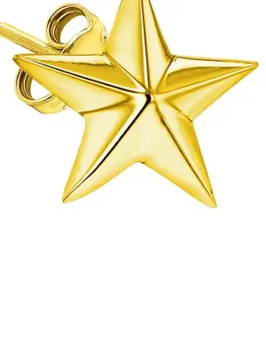 TRUE ROCKS Star Stud Earring - Gold