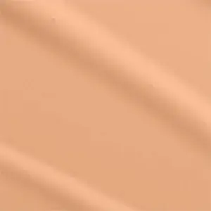 MAC COSMETICS Pro Longwear Concealer