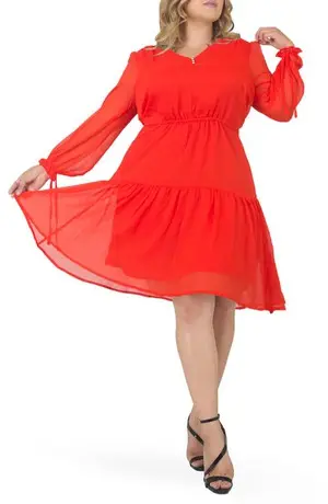 STANDARDS & PRACTICES Prairie Chiffon Long Sleeve Dress - Tigerlily