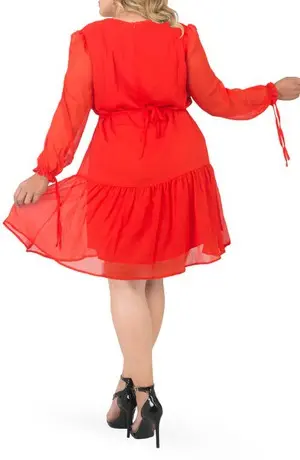 STANDARDS & PRACTICES Prairie Chiffon Long Sleeve Dress - Tigerlily