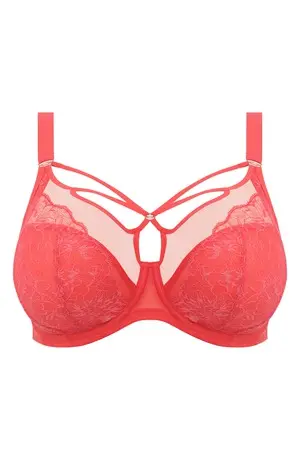 Elomi Brianna Underwire Strappy Plunge Bra Cayenne