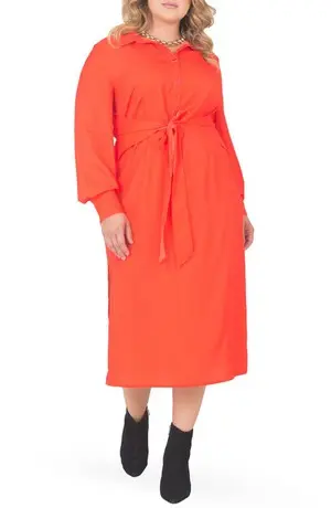 STANDARDS & PRACTICES Tie Waist Printed Midi Dress