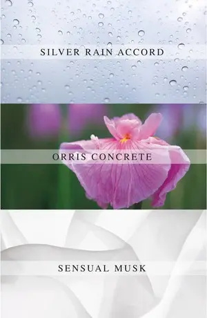 ALLSAINTS Concrete Rain Eau De Parfum