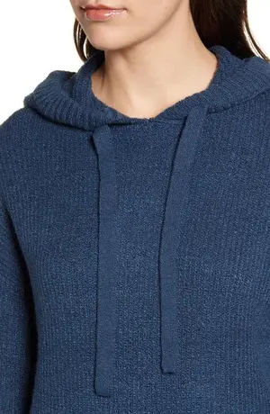 Caslon Sweater Hoodie