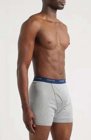 Nordstrom Supima® Cotton Boxer Briefs - Blue Bijou Multi