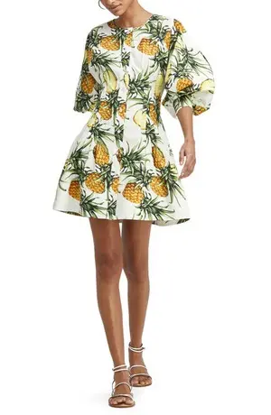 Oscar De La Renta Pineapple A-line Poplin Dress - Ivory Multi