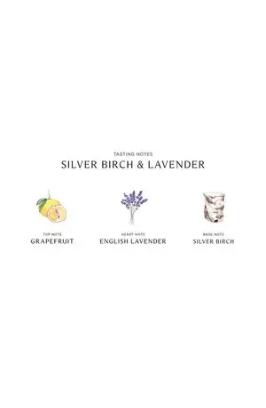 JO MALONE LONDON™ Silver Birch & Lavender Cologne