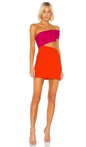 Lovers And Friends Paneled Dresses