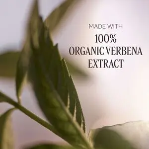 L'OCCITANE Verbena Shower Gel 8.4 Fl Oz