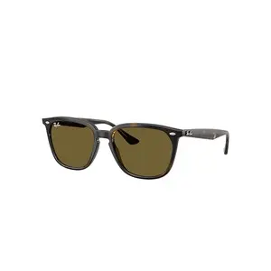 Ray-ban Sunglasses Tortoise