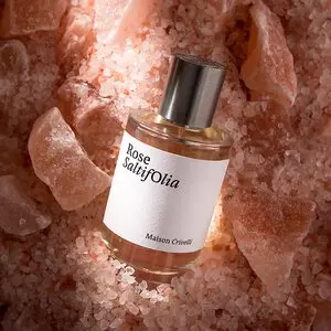 MAISON CRIVELLI Rose Saltifolia Eau De Parfum - Na