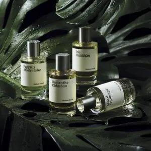 MAISON CRIVELLI Osmanthe Kodoshan Eau De Parfum