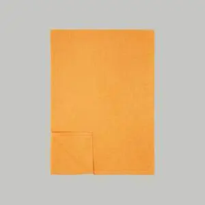 Everlane Cashmere Scarf Kumquat