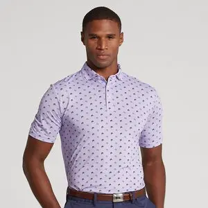 Ralph Lauren Classic Fit Performance Polo Shirt Sky Lavender