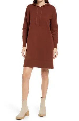 Madewell Long Sleeve Hoodie Sweater Dress
