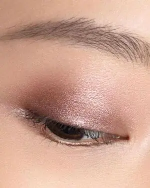 CHANTECAILLE Luminescent Eye Shades Pangolin