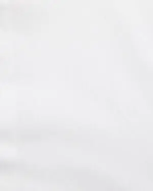 Brioni Wardrobe Essential Solid Dress Shirt - White