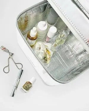 WELLINSULATED Performance Beauty Case - Silver