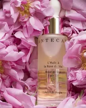 CHANTECAILLE Rose De Mai Face Oil - One-color