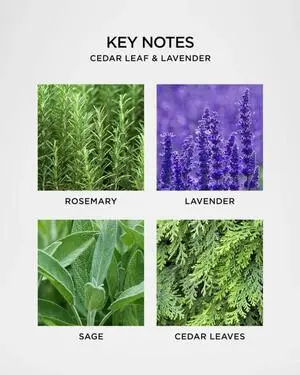 NEST NEW YORK Cedar Leaf & Lavender Liquid Soap, 10 Oz - One-color