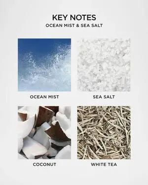 NEST NEW YORK Ocean Mist & Sea Salt Liquid Soap, 10 Oz - One-color