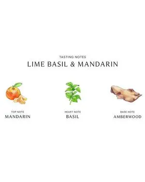 Jo Malone Lime Basil & Mandarin Cologne - One-color