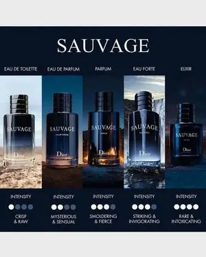 Dior Sauvage Parfum - One-color