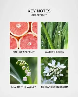 NEST NEW YORK 10 Oz. Grapefruit Liquid Soap - One-color