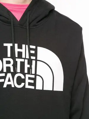 The North Face Half Dome Pullover Hoodie