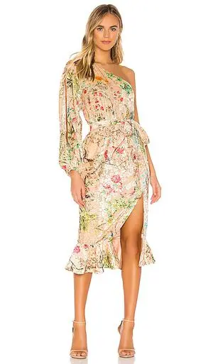 Hemant & Nandita Veena Burnout Velvet Dress