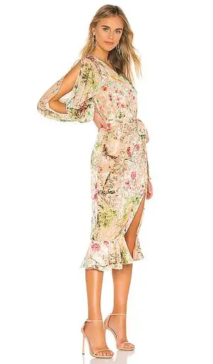 Hemant & Nandita Veena Burnout Velvet Dress