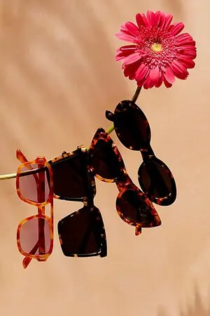 Free People Royal Polarized Aviator Sunglasses Tort / Purple