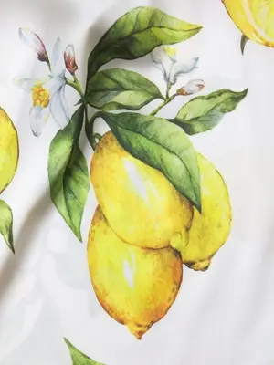 AVERIE Two-piece Citrus Print Short Pajama Set