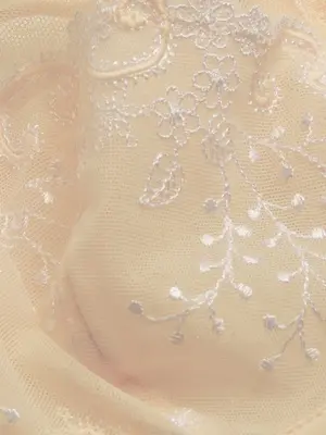 Simone Perele Delice Sheer Plunge Bra - Blush