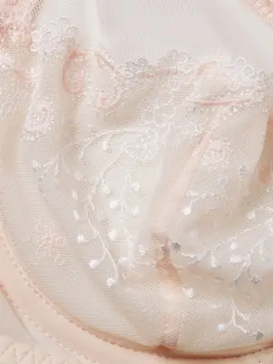 Simone Perele Delice Sheer Plunge Bra - Blush