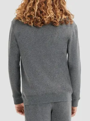 UGG Zeke Quarter-zip Sweater