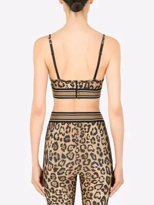 Dolce & Gabbana Leopard-print Bralette Top